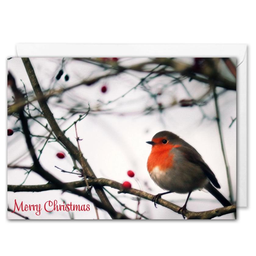 Merry Christmas Card For Business - Red Robin - Custom Logo | Greetd